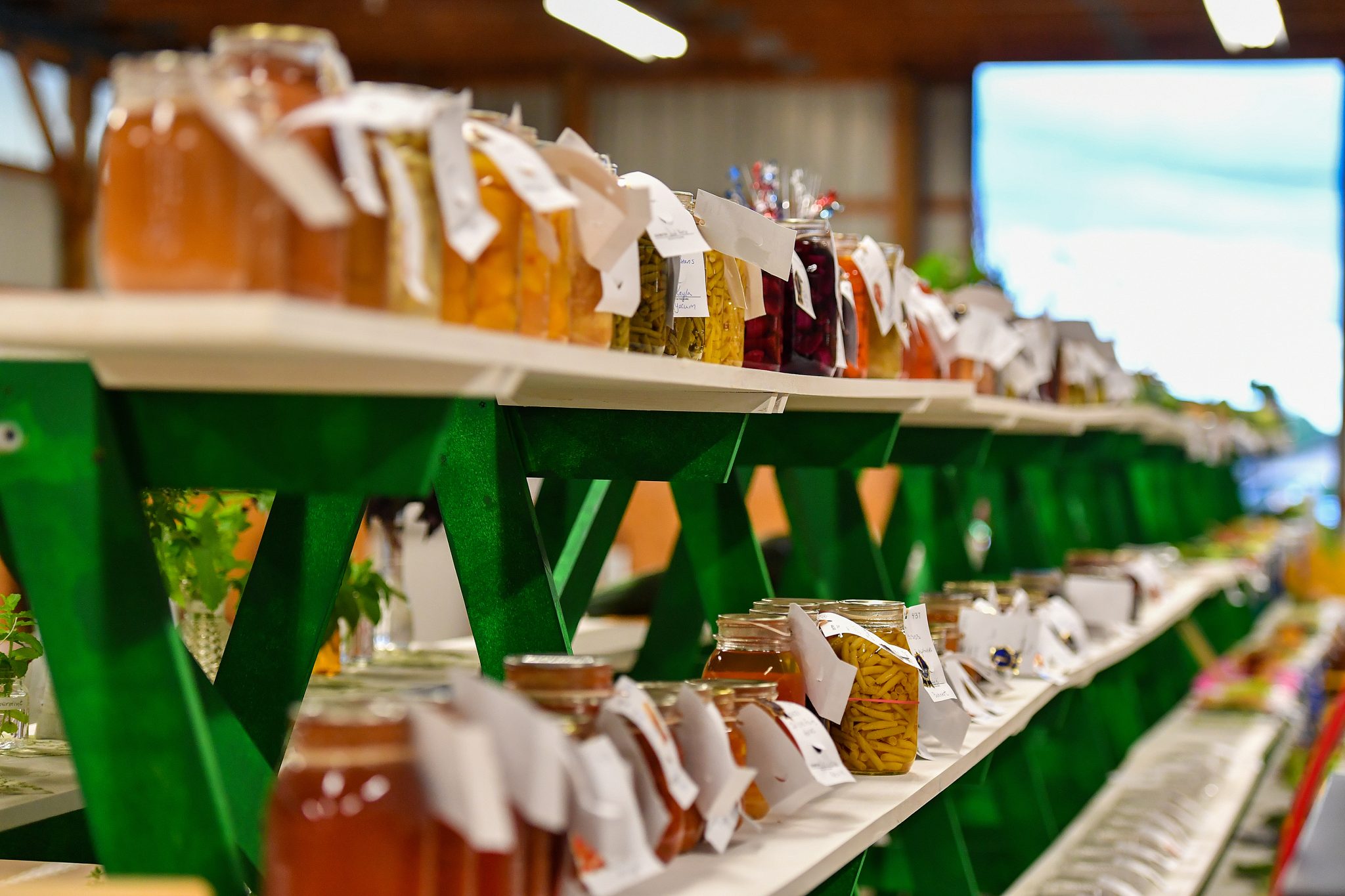 Clinton County Fair – Clinton County Fair