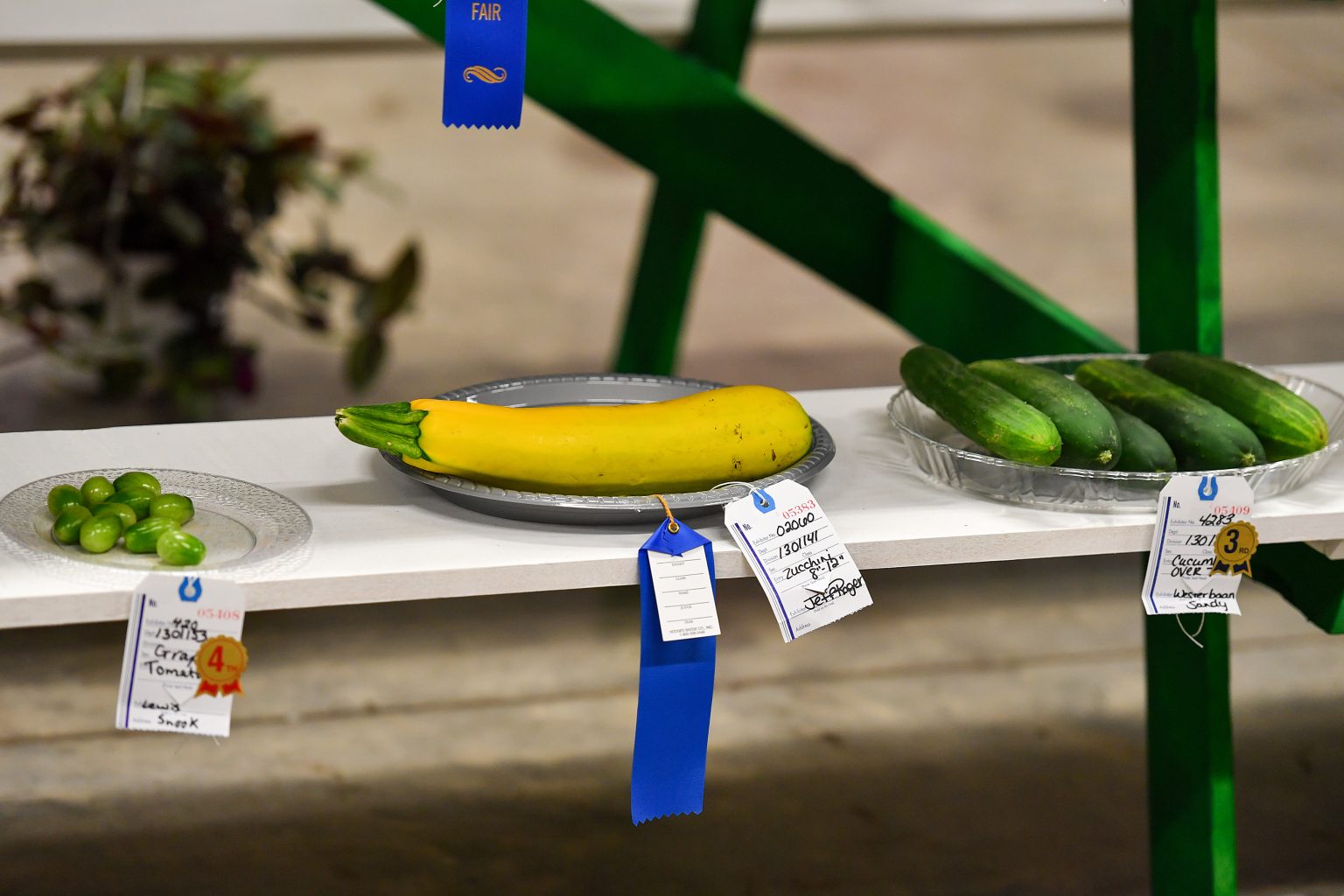 Clinton County Fair – Clinton County Fair