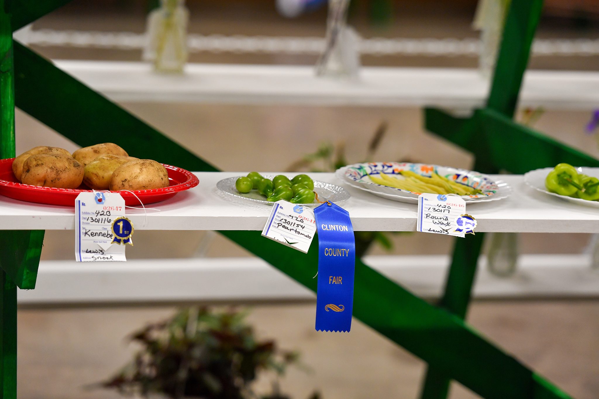 Clinton County Fair – Clinton County Fair