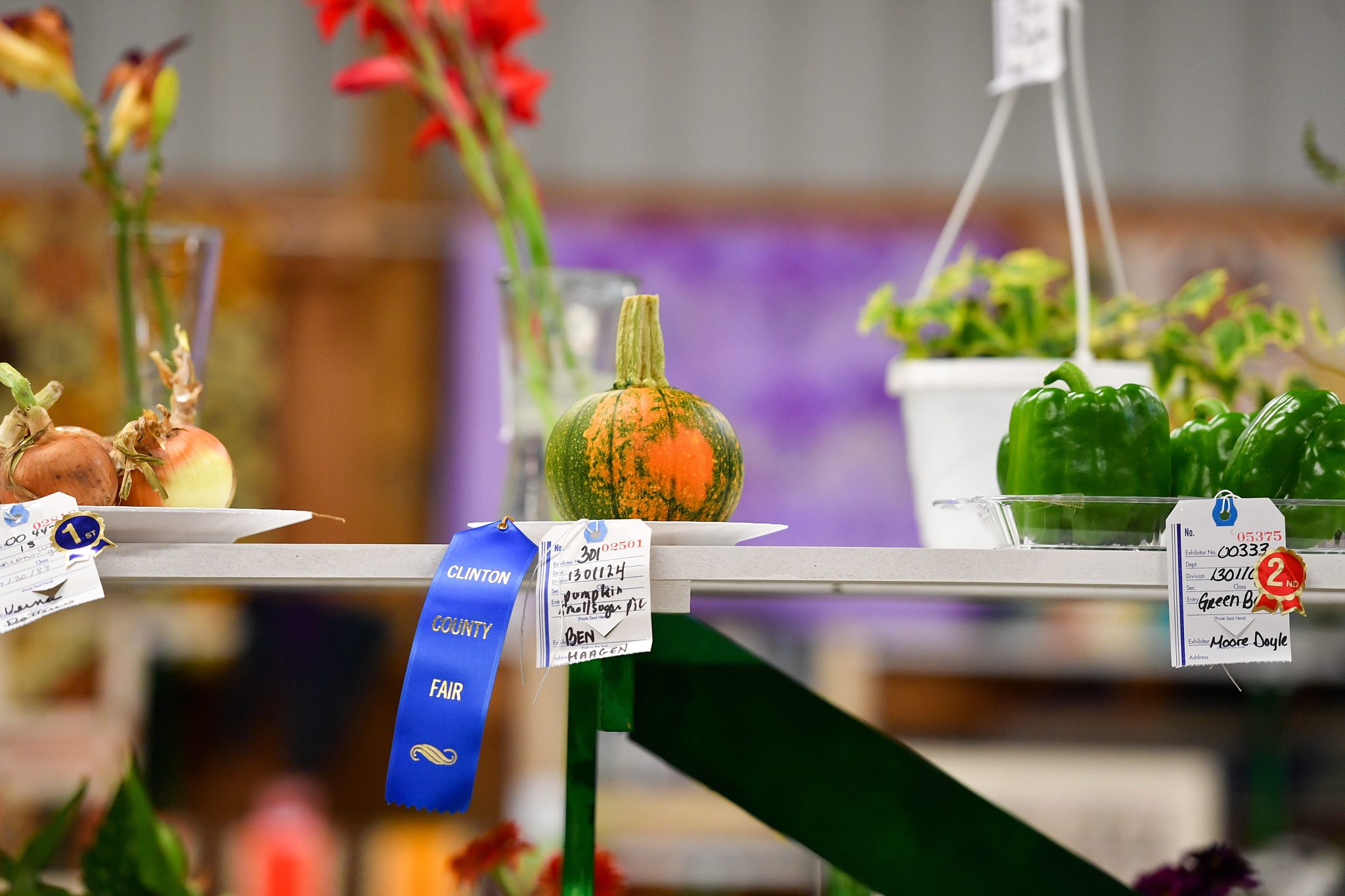 Clinton County Fair – Clinton County Fair